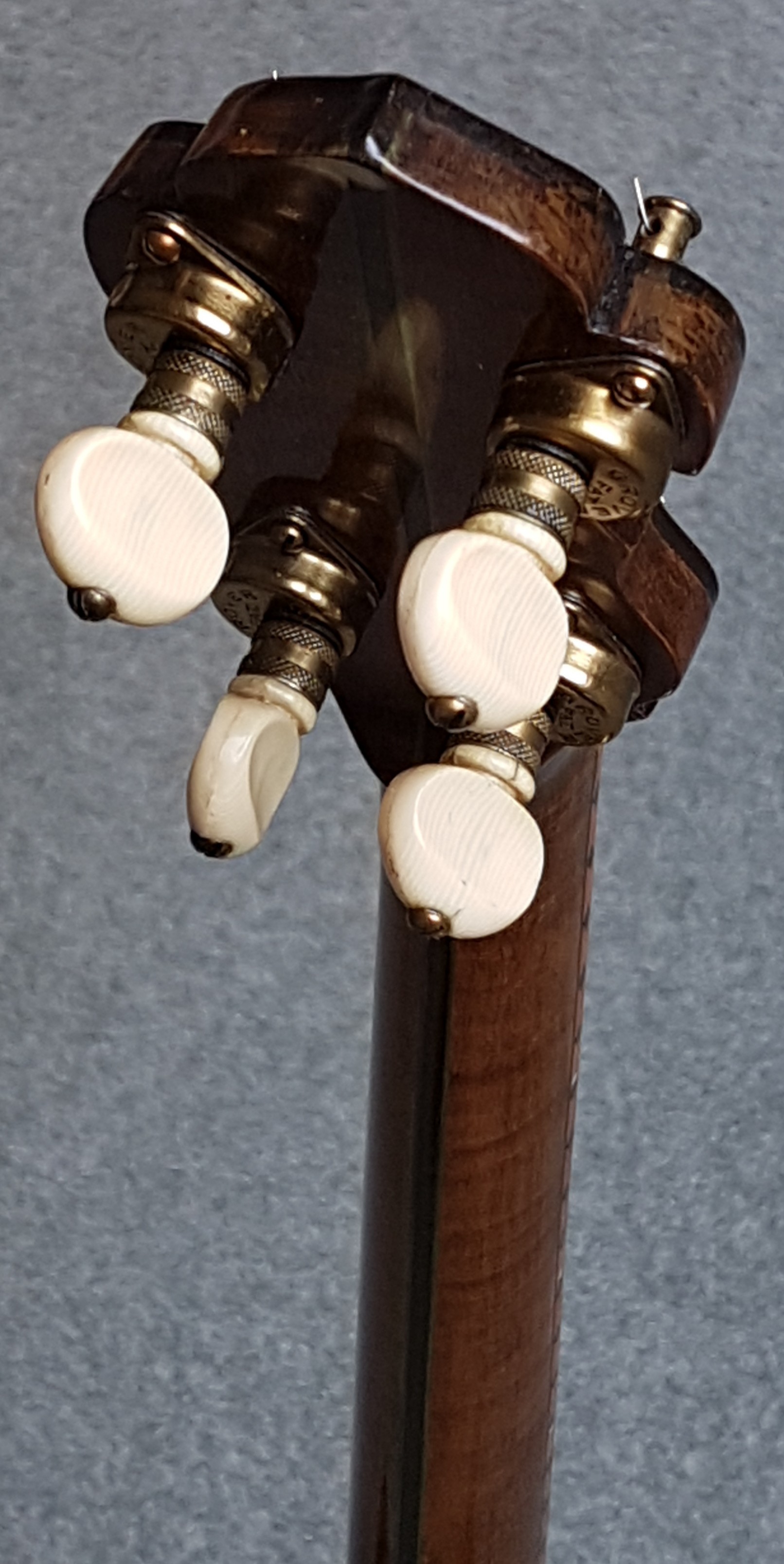 Pure Banjo » Leedy Solotone Style C Tenor Banjo